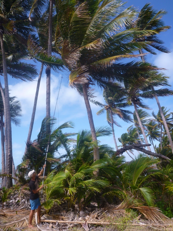 Chili Beach, Iron Range National Park – outbackjoe